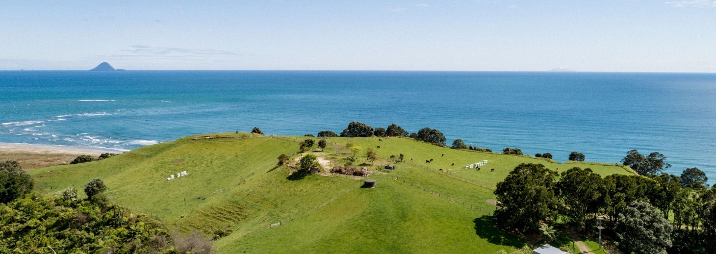 Your council | Bay of Plenty Regional Council | Toi Moana