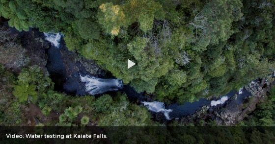 Waitao Catchment and Kaiate Falls